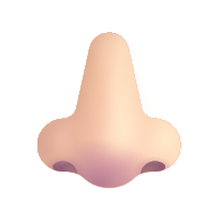 Nose Light icon as SVG, PNG, JSX, and Base64