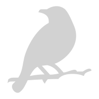 File Type Lark icon as SVG, PNG, JSX, and Base64